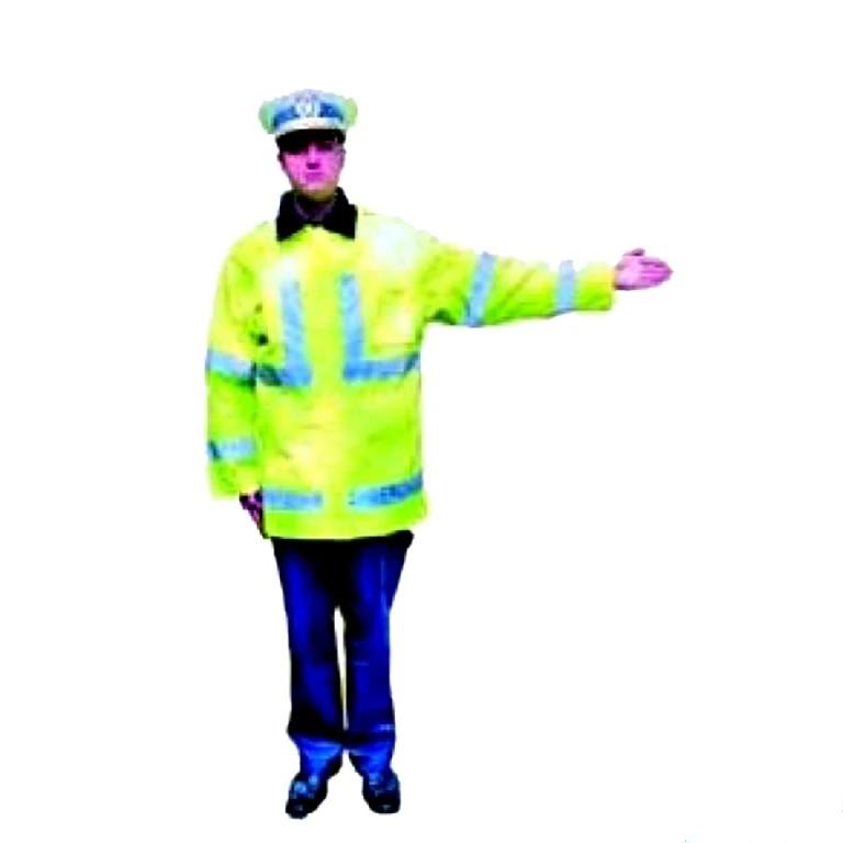 Semnalele Polițiștilor - Auto DRPCIV